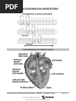 ECG_EKG Practice Quiz (Identify Rhythms) | PDF | Electrocardiography ...