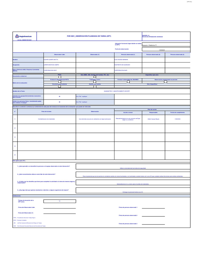 01.OPT-Formato Excel ENERO | PDF | Business