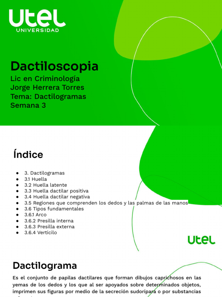 Tipos de Huellas Dactilares | PDF | Huella dactilar