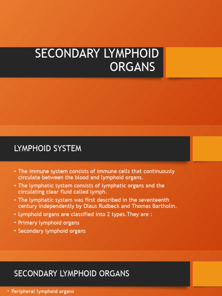 Secondary Lymphoid Organs | PDF