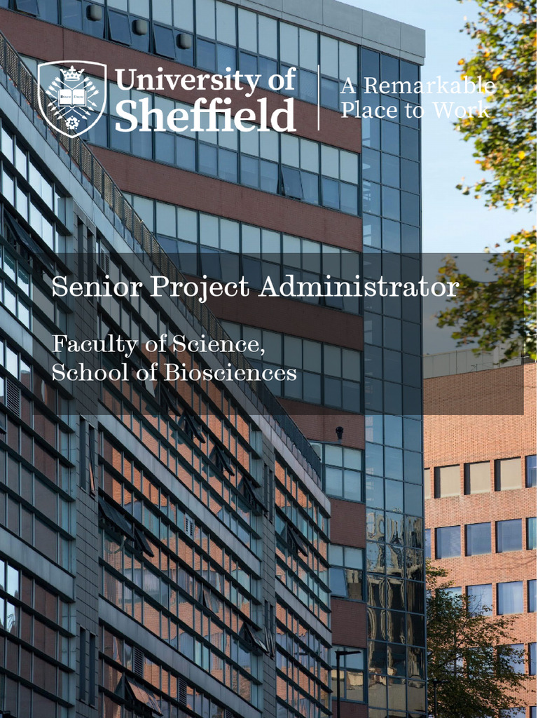 BIS Senior Project Administrator ATJ v.2-1 | PDF | Career & Growth ...