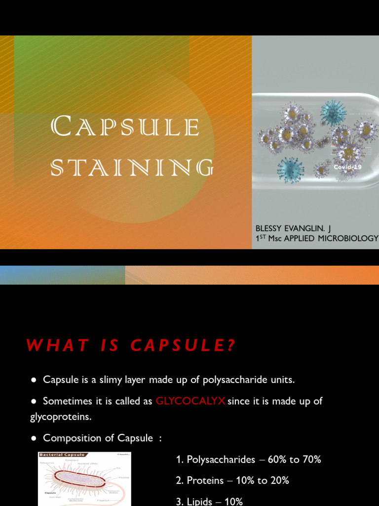 Capsule Staining | PDF