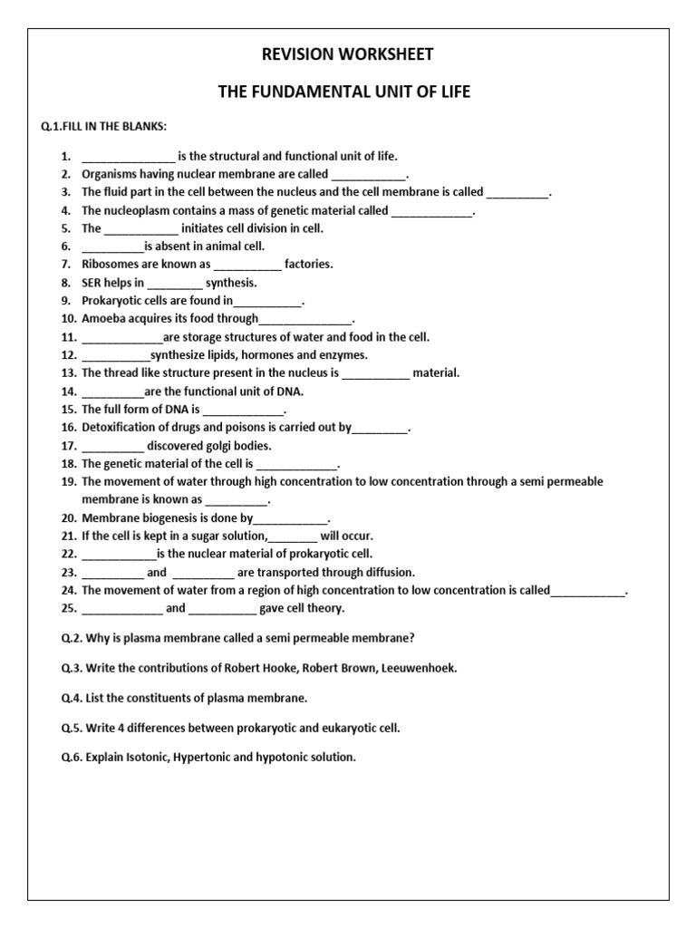 Science Assignment (Class 9) | PDF
