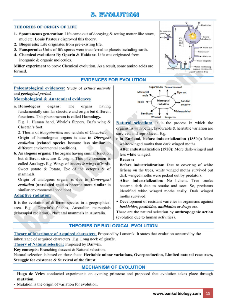 7 Evolution Capsule Notes | PDF