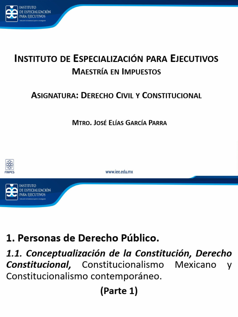 Tema 1.1 Conceptualización Const-DConst - Ef2024 | PDF