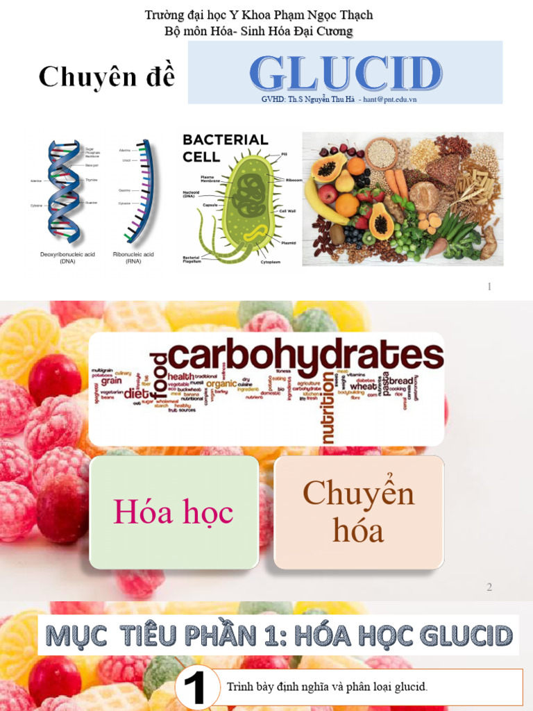 02 Chuyển Hóa Glucid 21-10-2023 Version 02 | PDF