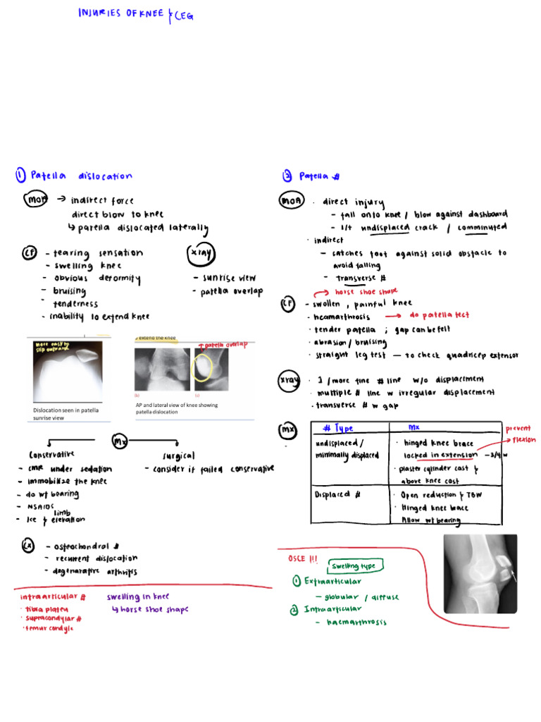 Injury of Knee & Leg | PDF | Knee | Lower Limb Anatomy