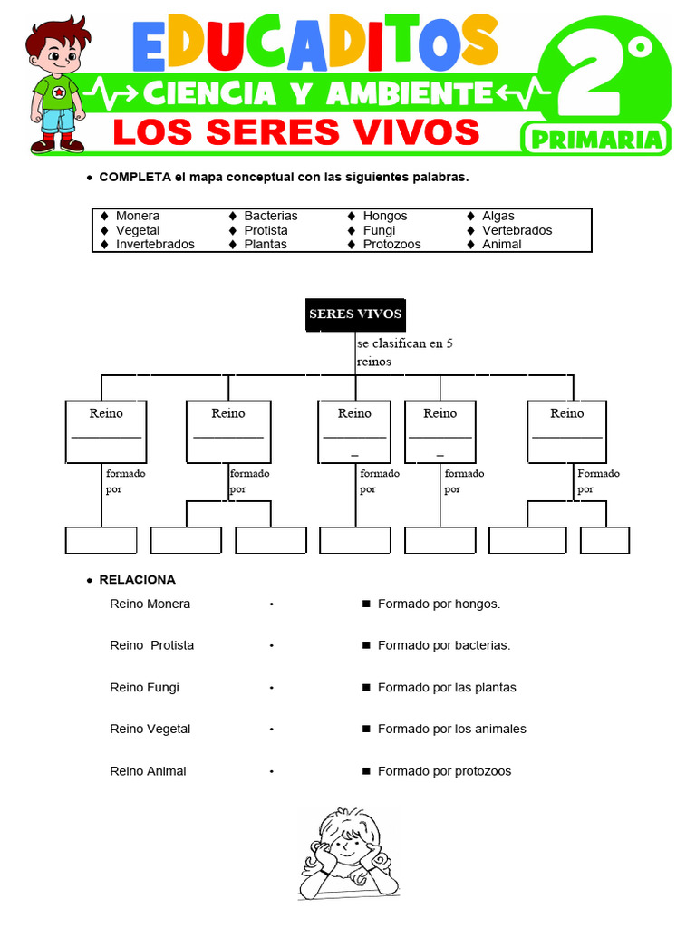Ficha De Clasificacion De Los Seres Vivos