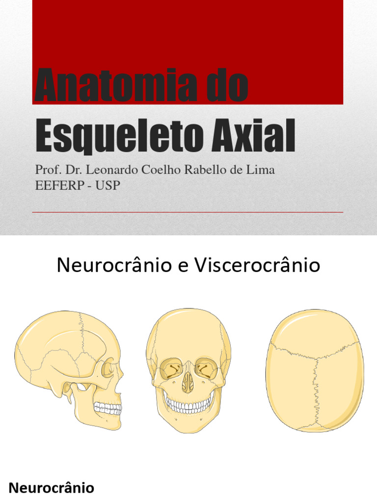 Aula 4 - Esqueleto Axial | PDF | Coluna vertebral | Anatomia