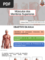 Nomes de 100 Músculos Do Corpo Humano | PDF | Sistema Locomotor ...