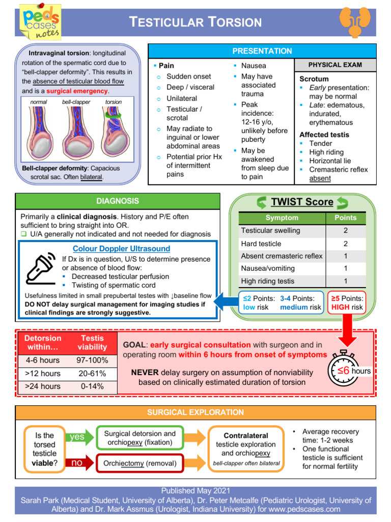 Testicular Torsion, Peds Cases Notes | Download Free PDF | Medical ...