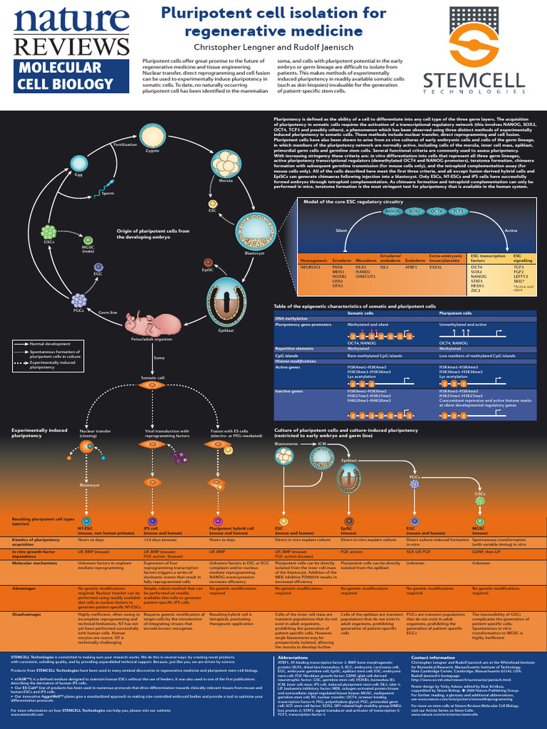 WA10010-Pluripotent Stem Cell Biology | PDF