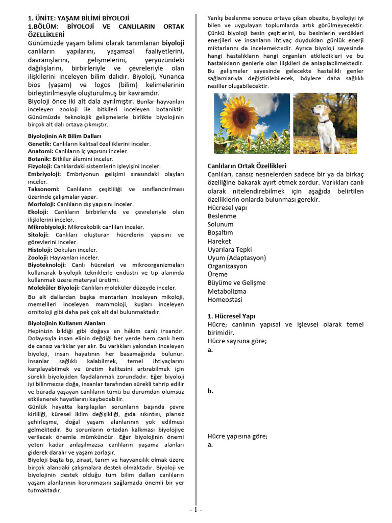 9 Ders Defteri Biyoloji | PDF