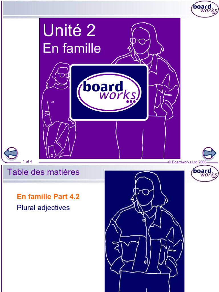 French Plural Adjectives Guide | PDF