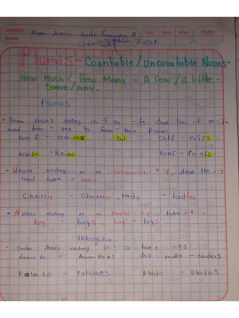 Class Work Countable and Uncountable Nouns | PDF