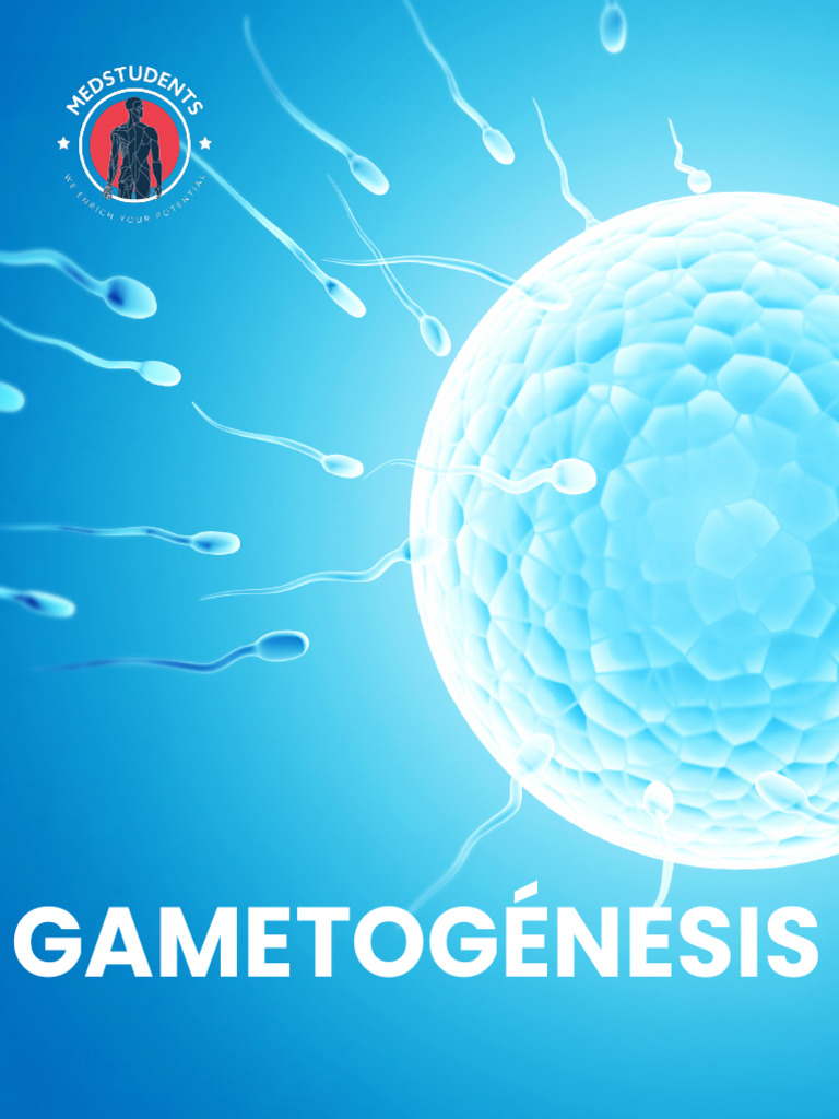 Gametogenesis Parte A | PDF
