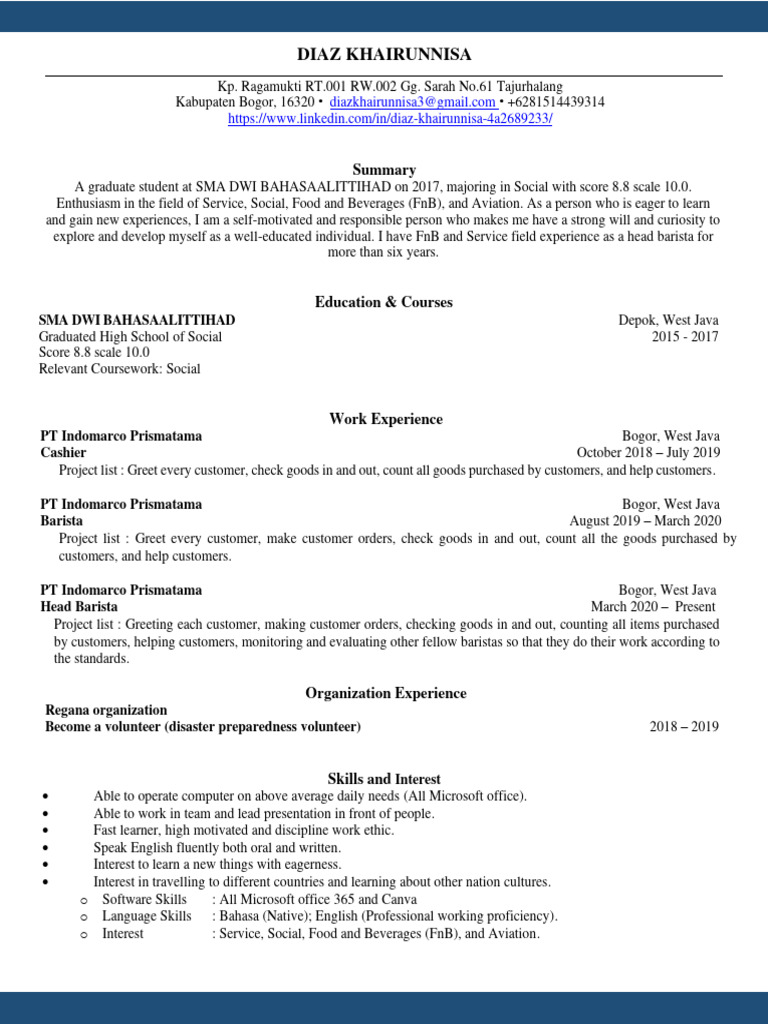 CV Ats - Diaz Khairunnisa | PDF | Behavior Modification | Cognition