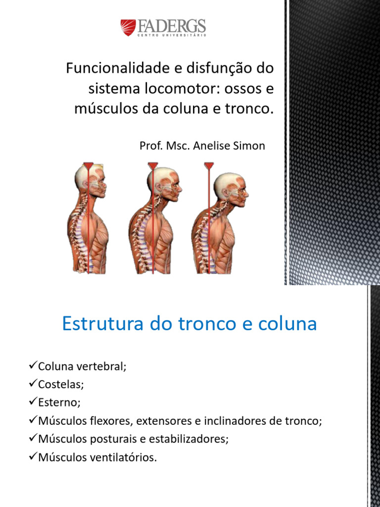Aula 4 - Ossos e Músculos Da Coluna e Tronco | PDF | Coluna vertebral ...