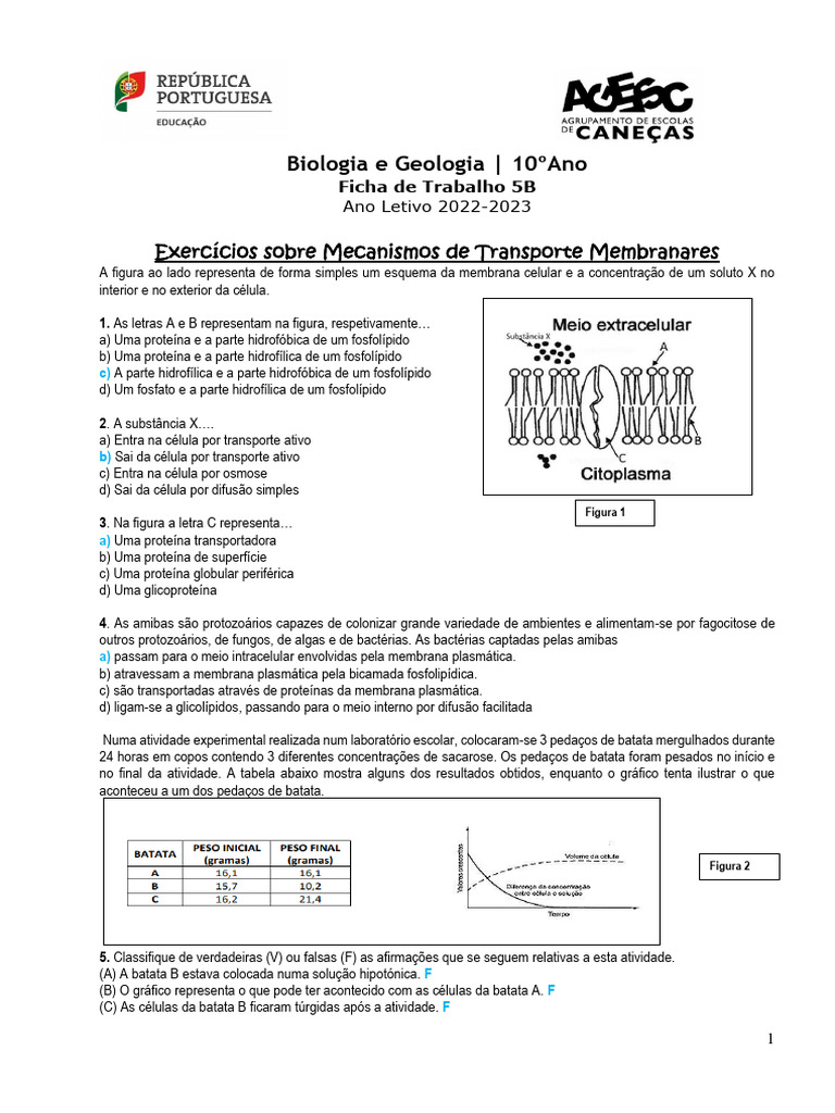 Correção Da Ficha 5b Sobre Transporte Membrana Final Download Grátis