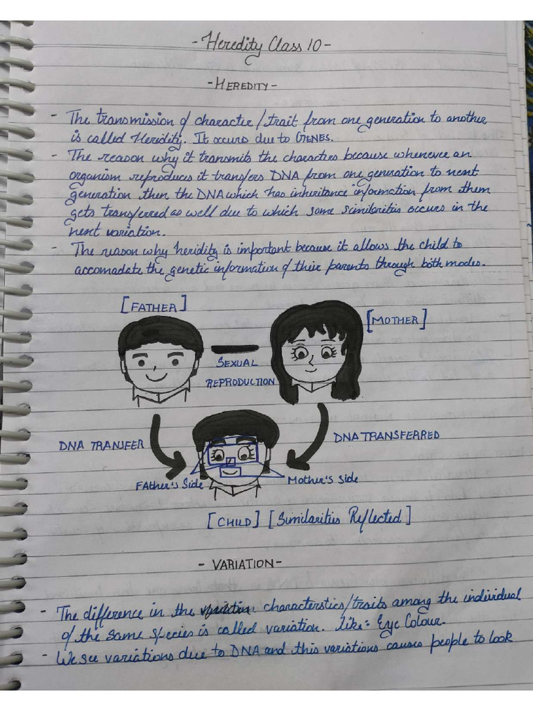 Science Heredity Notes - Compressed | PDF