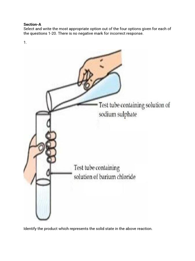 Science Sample Paper | PDF | Sodium Chloride | Chloride