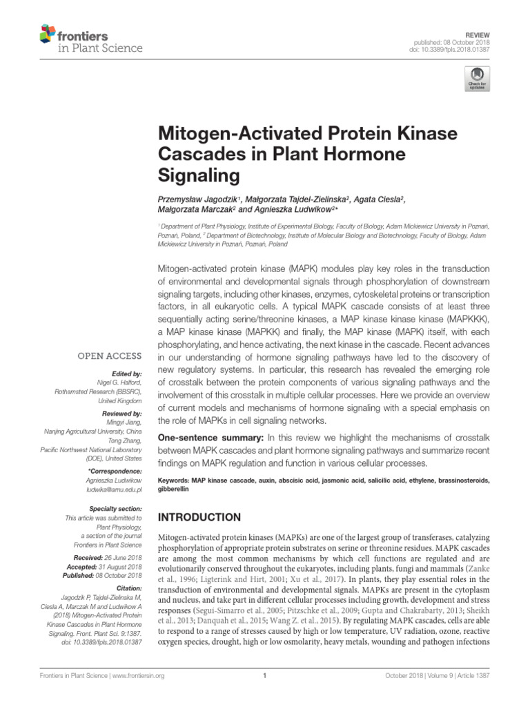 Plant Hormone Signaling via MAPKs | PDF | Mitogen Activated Protein Kinase | Signal Transduction