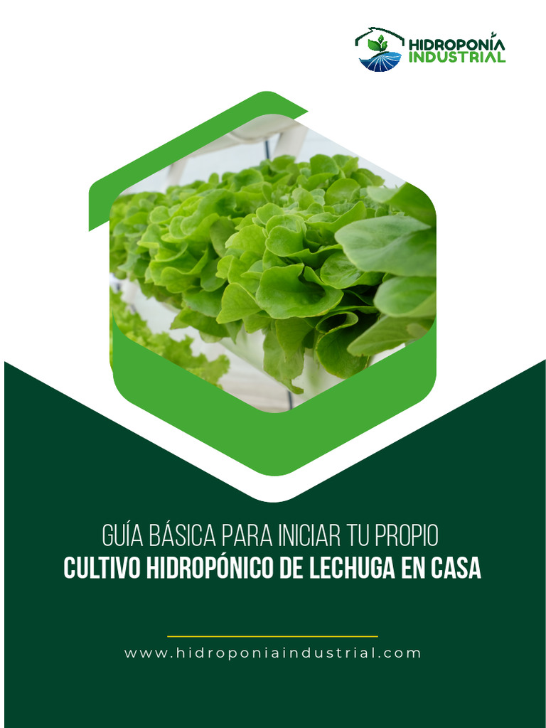 Guía Básica para Iniciar Tu Propio Cultivo Hidropónico de Lechuga en Casa | PDF | Hidroponia ...