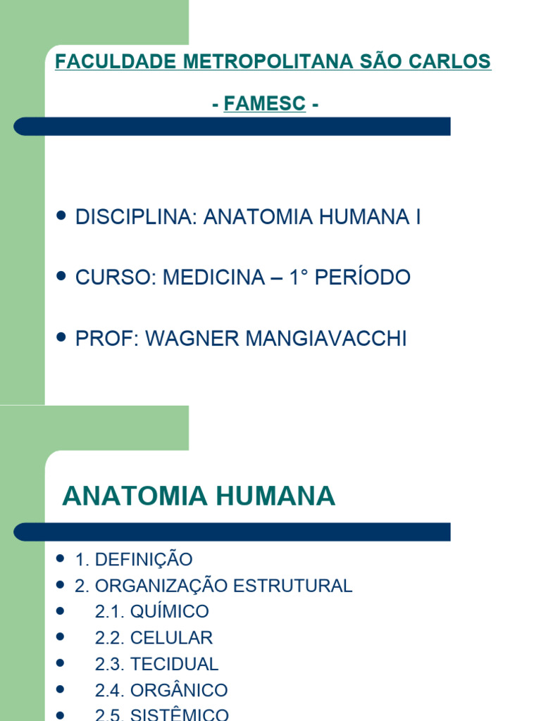 Aula De Anatomia Humana Slides Pdf