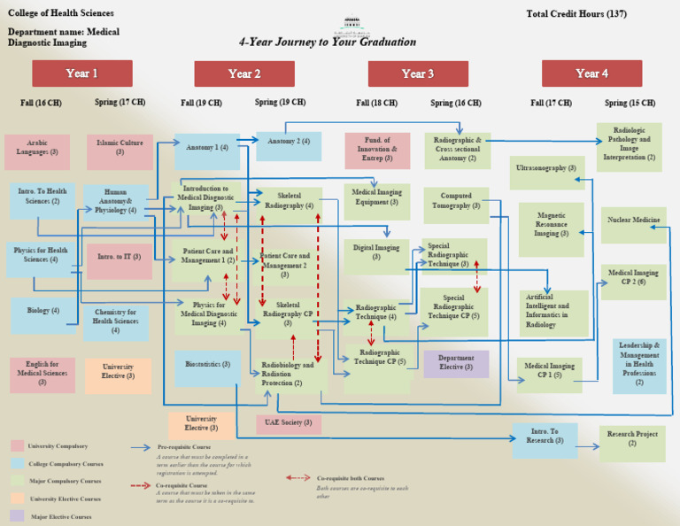 Bachelor of Science in Medical Diagnostic Imaging Study Plan | PDF ...