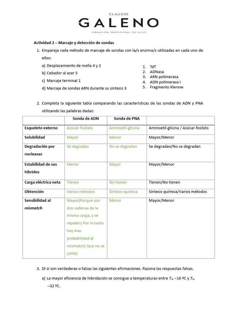 Actividad 2 - Ud4 Biomol | PDF | Hibridación de ácido nucleico | Genética