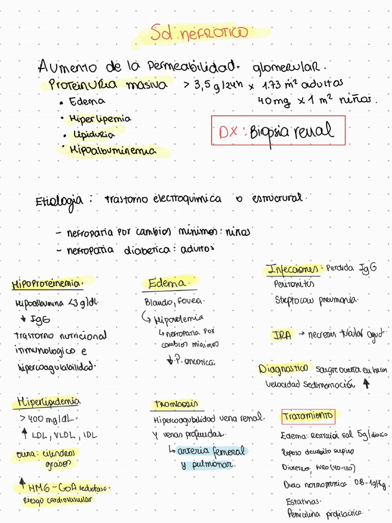 SD Nefrotico - 231212 - 205158 | PDF