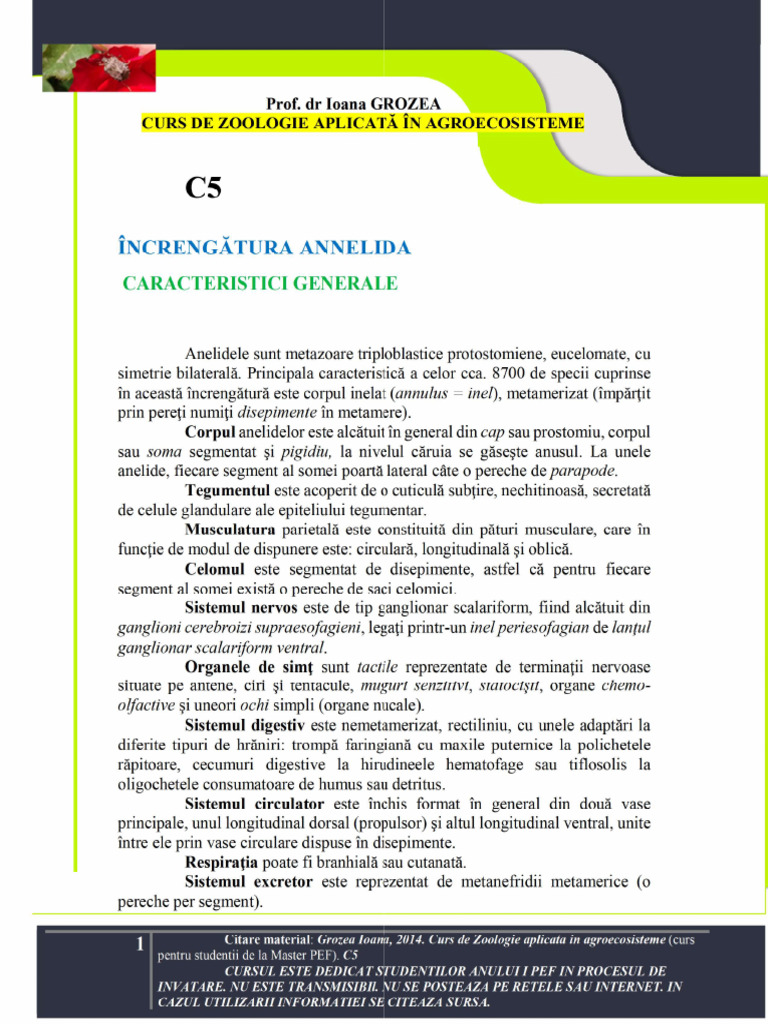 C5 | PDF