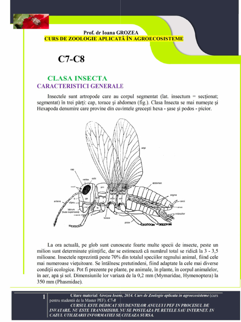C7-C8 Set | PDF