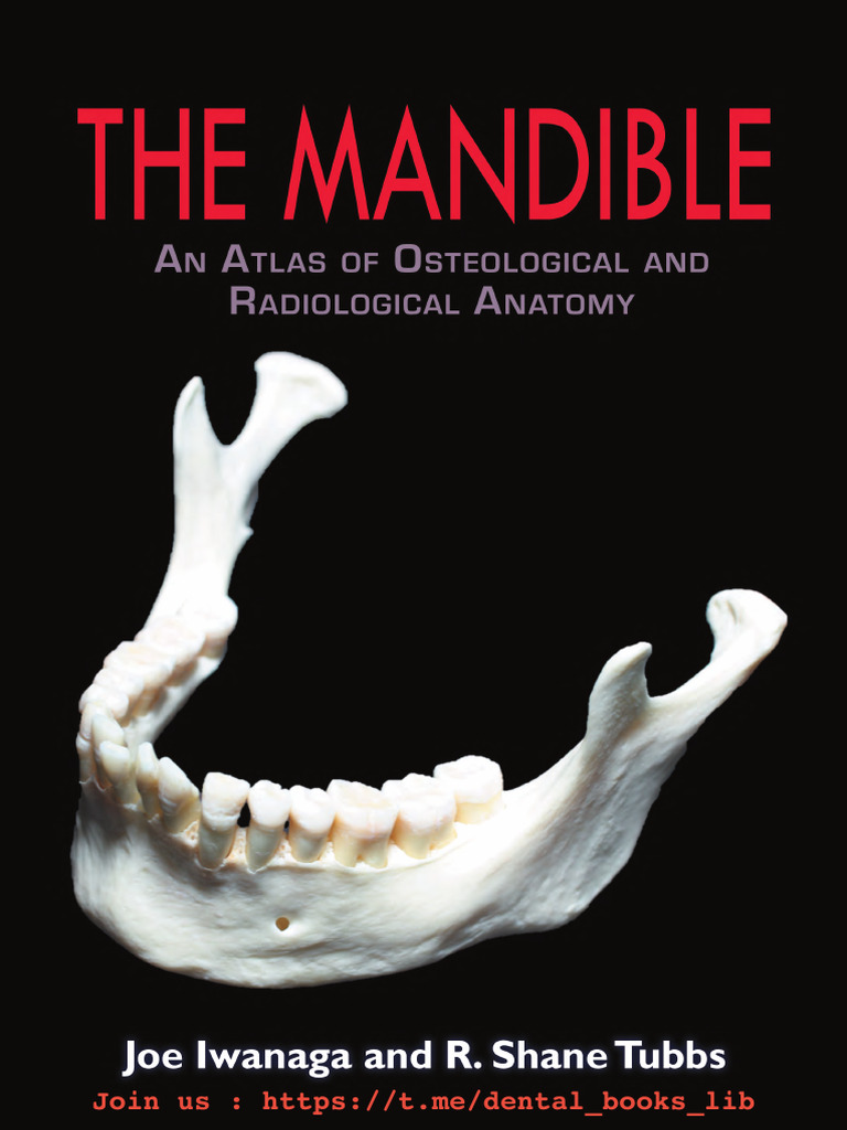 The Mandible An Atlas of Osteological and Radiological Anatomy | PDF