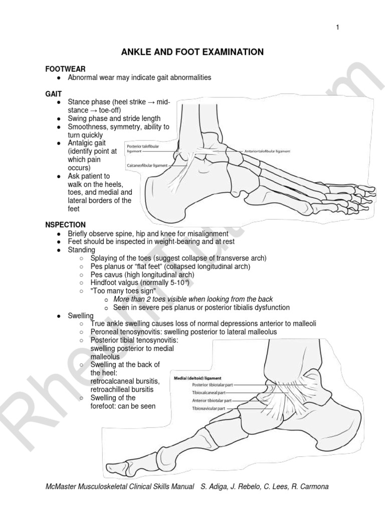 Foot and Ankle Examination Guide | PDF | Ankle | Foot