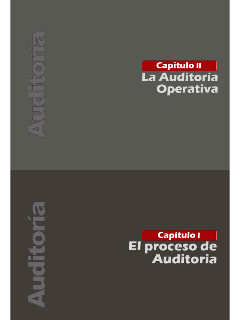 TEMA 1 PROCESO DE AUDITORIA | PDF
