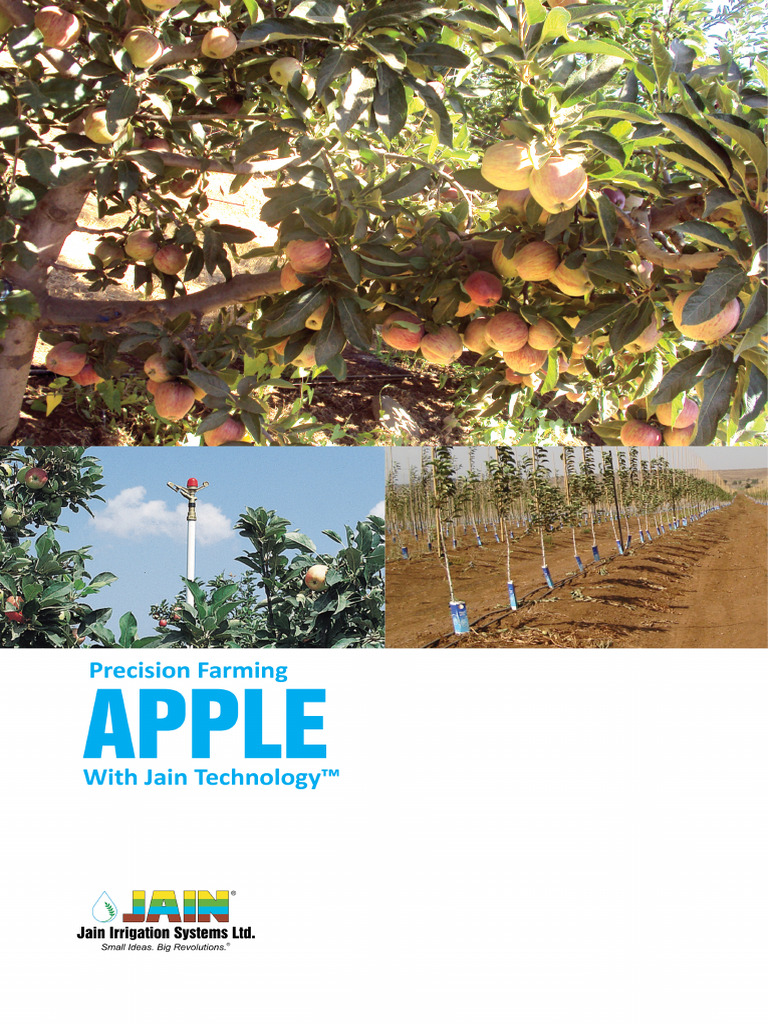 Apple Book | PDF | Grafting | Apple