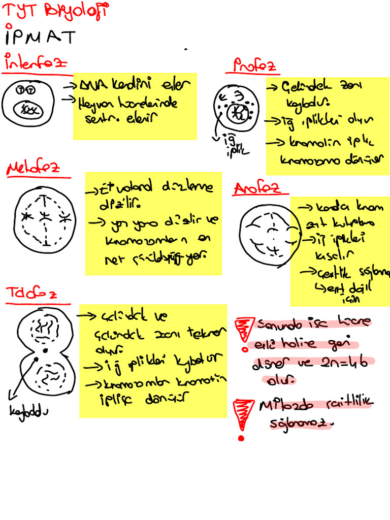 Tyt Konu (Fizik, Kimya, Biyo) | PDF