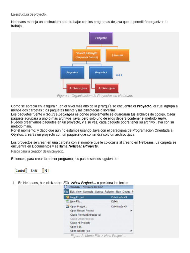 Estructura y creación de proyectos en Netbeans | PDF | Entorno de desarrollo integrado | Java ...