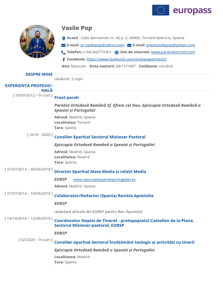 CV Vasile Pop | PDF