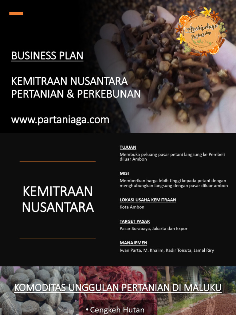 Business Plan Iwan Parta | PDF