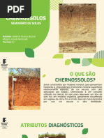 Chernossolo | PDF | Solo | Matéria orgânica