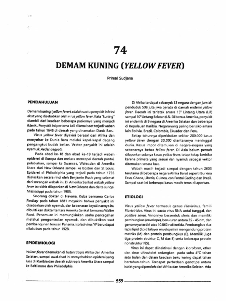 Demam Kuning | PDF