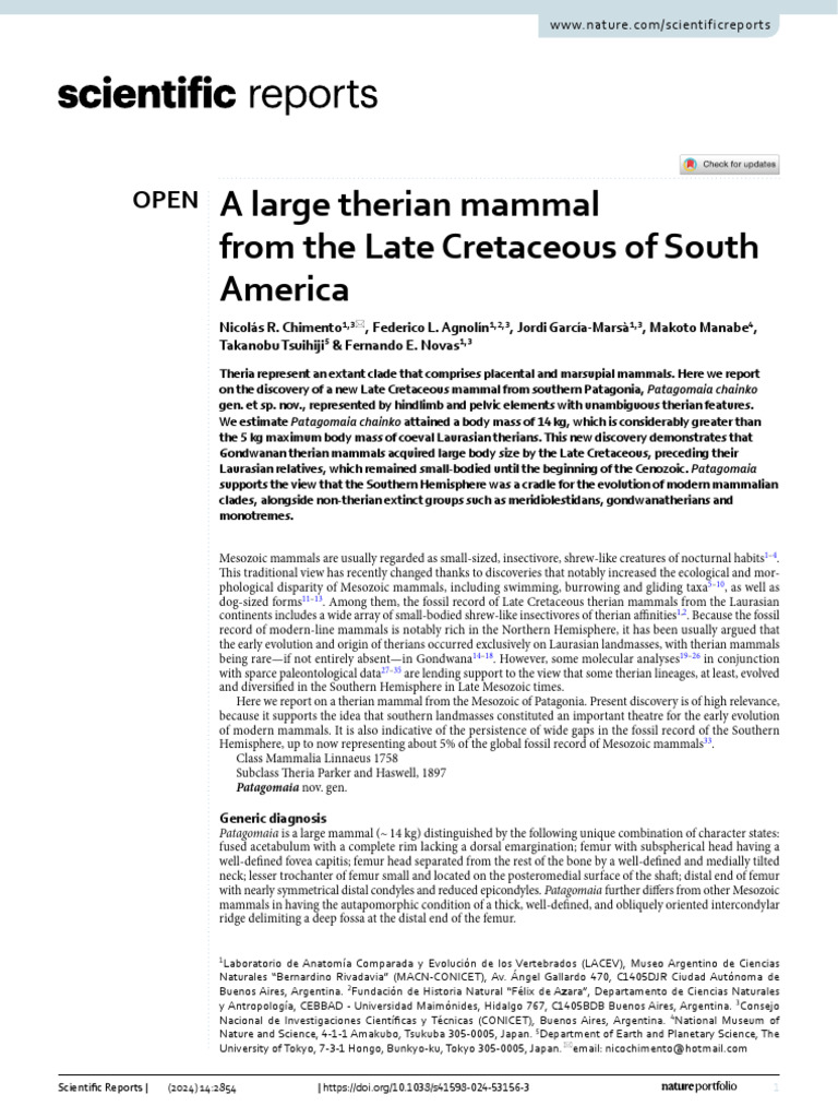 A Large Therian Mammal From The Late Cretaceous of South America | PDF