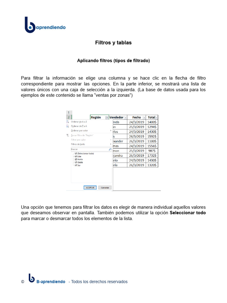 Tipos de Filtros en Excel | PDF | Informática | Negocios
