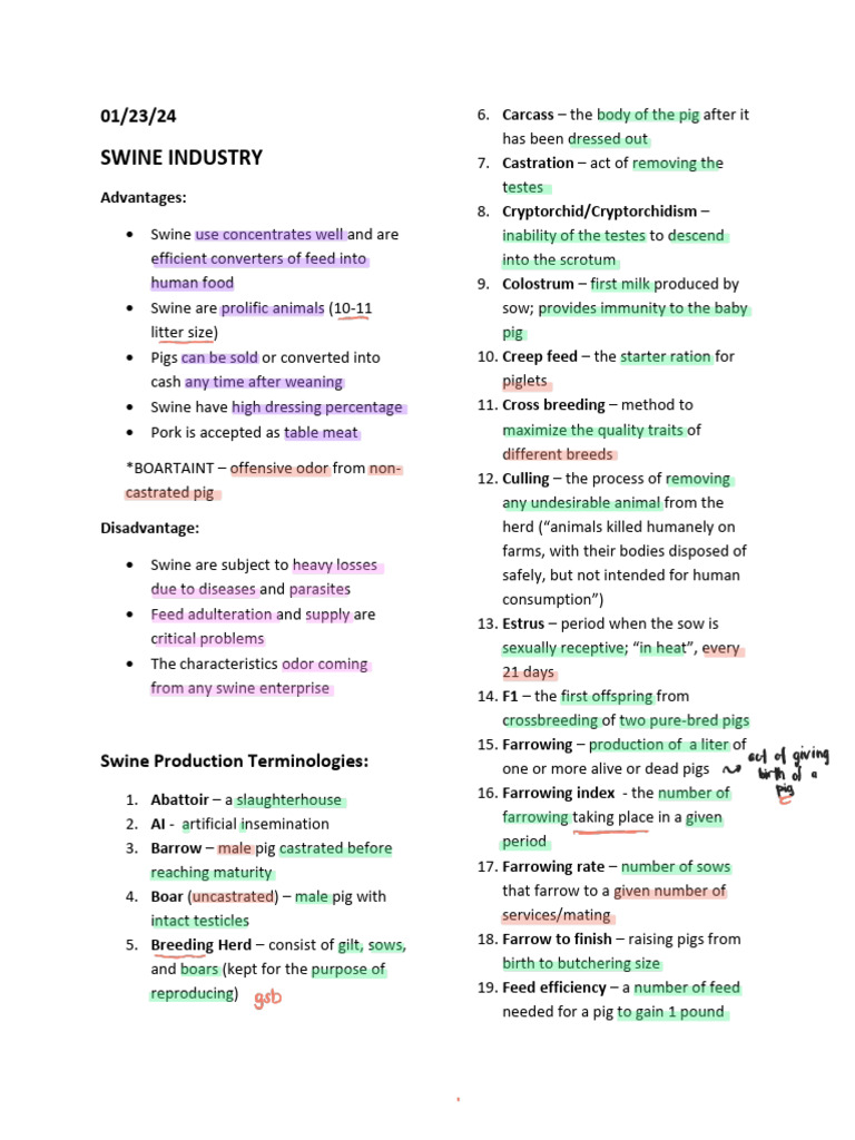 Swine Lab1 | PDF | Pig | Wild Boar