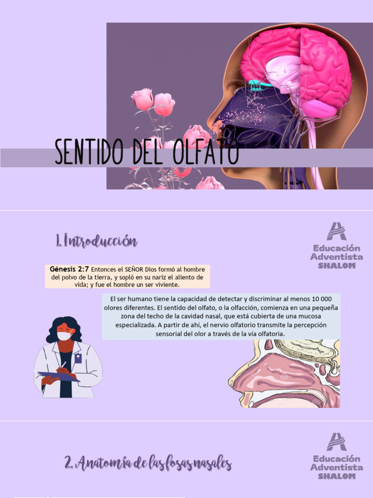 Tema 1 Sentido Del Olfato 2do Trim-1 | PDF | Sistema olfativo | Olor