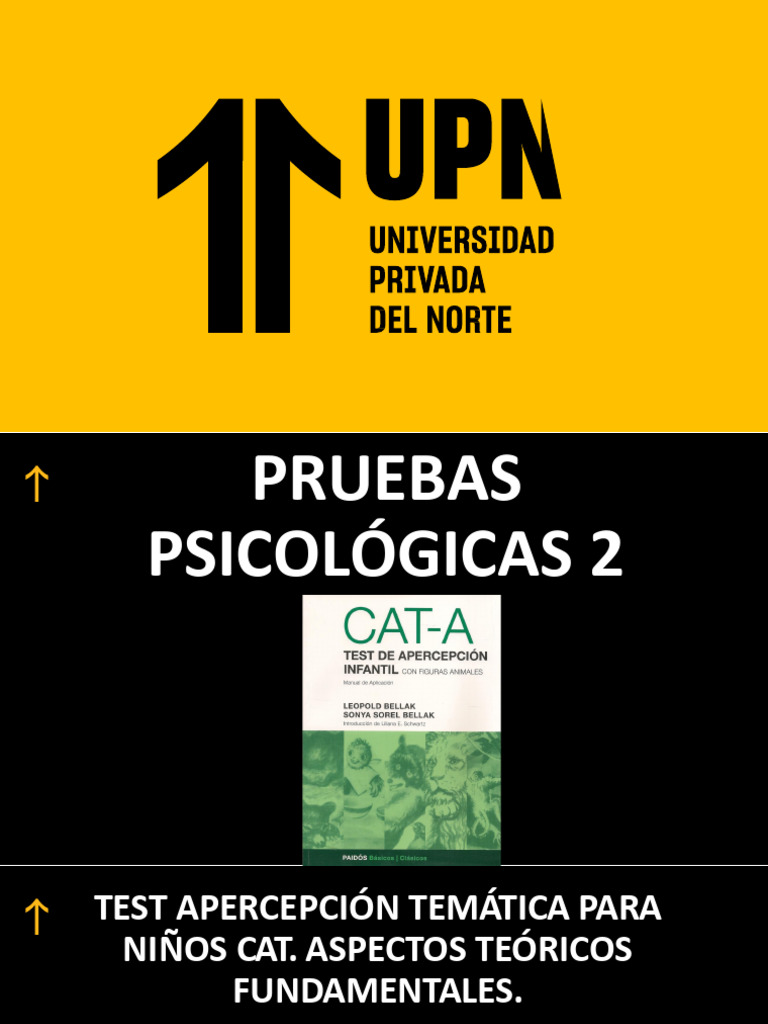 PPT SEMANA 05 Sesión 02 Pruebas psicológicas 2 2024 | PDF