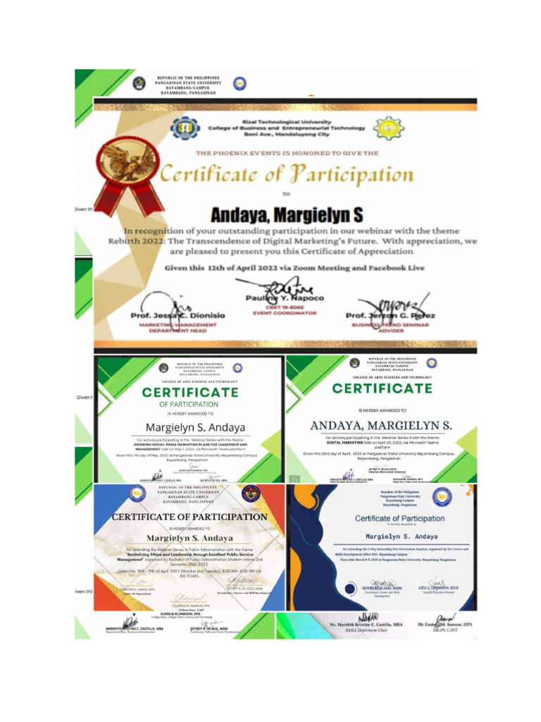 CERTIFICATES | PDF
