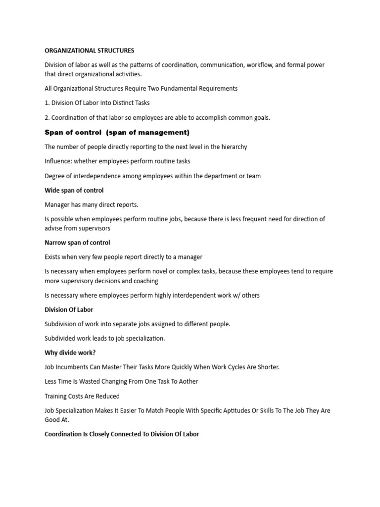 ORGANIZATIONAL STRUCTURES 2 | PDF